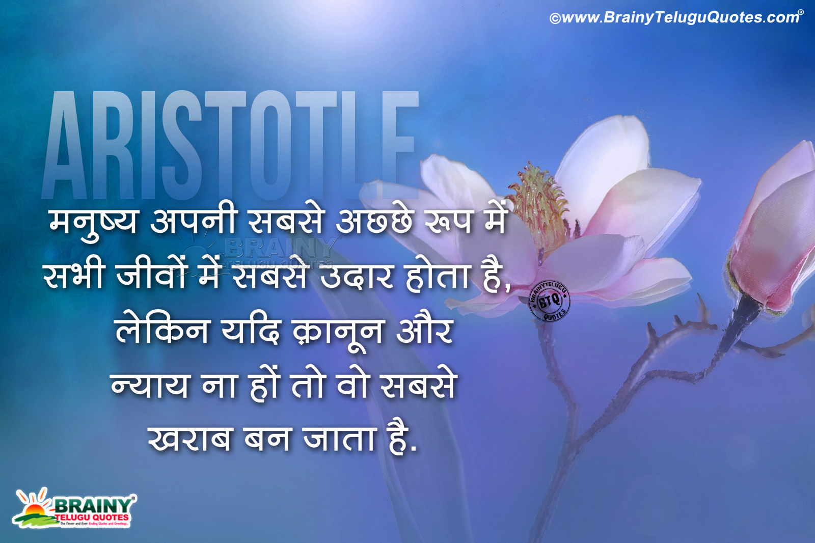 Hindi Aristotle Quotes Life Success Sayings Inspirational Aristotle Quotes Messages hindi-aristotle-quotes-life-success-sayings-inspirational-aristotle-quotes-messages