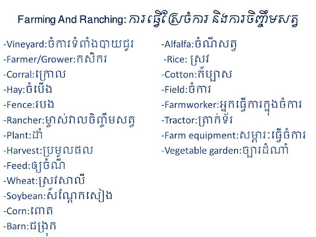 សិក្សាពាក្យភាសាអង់គ្លេស៖ Farming and Ranching ...