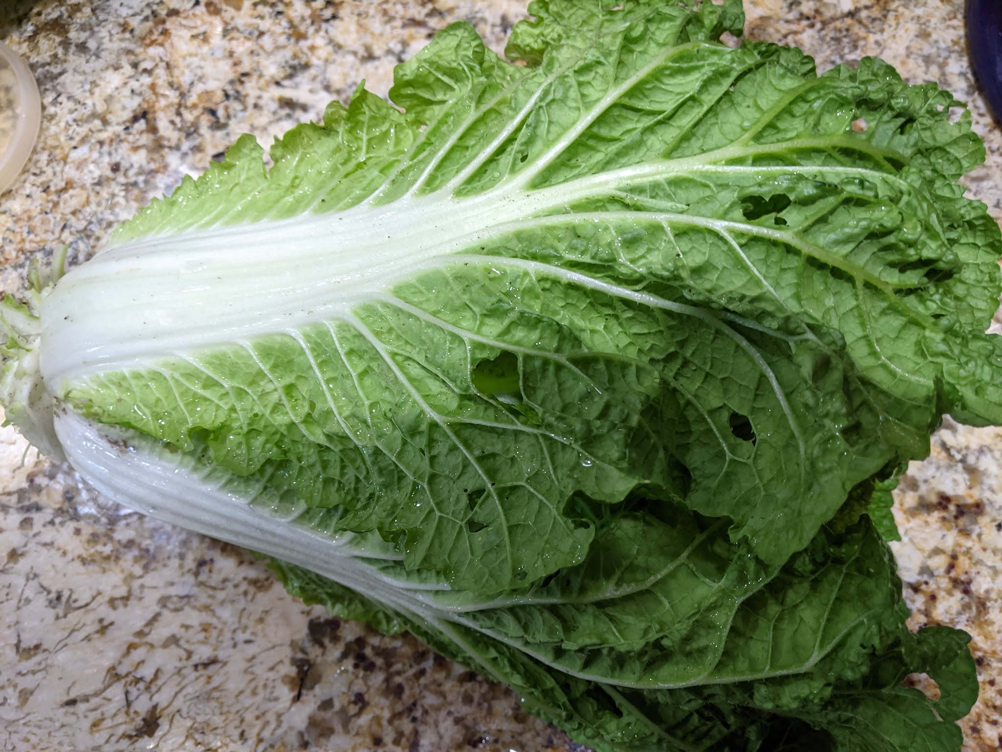 Eight Gate Farm - New Hampshire