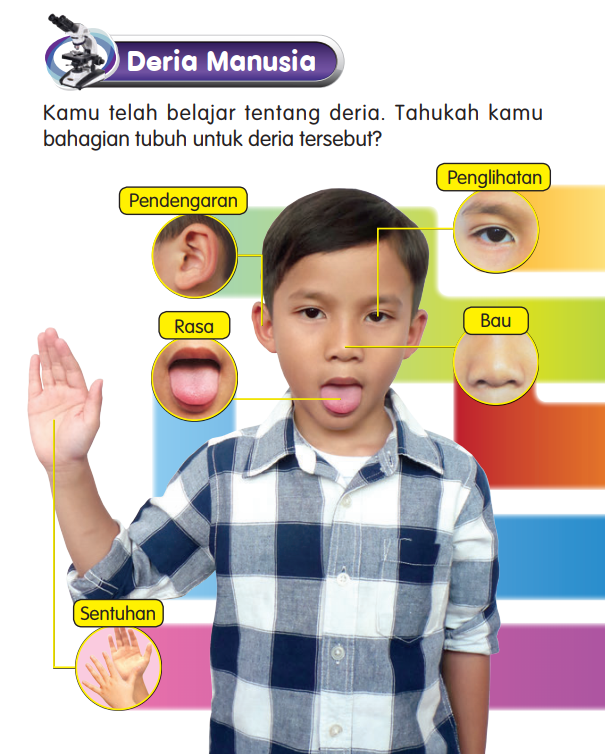 PDPR Unit 4 - Deria Manusia ~ Jom Bijak Sains