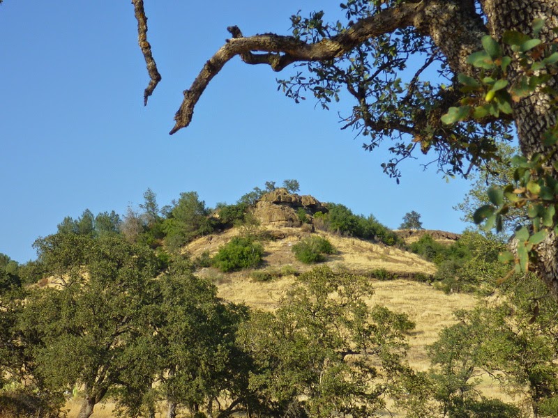 Trailing Ahead: Monkey Face in Upper Bidwell Park, east of Chico in ...