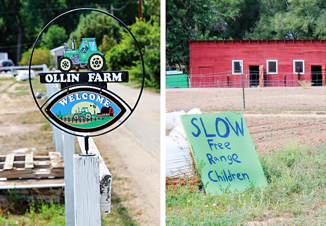 Fresh & Local: Longmont Farm Stands | Longmont 100: Things to do in ...