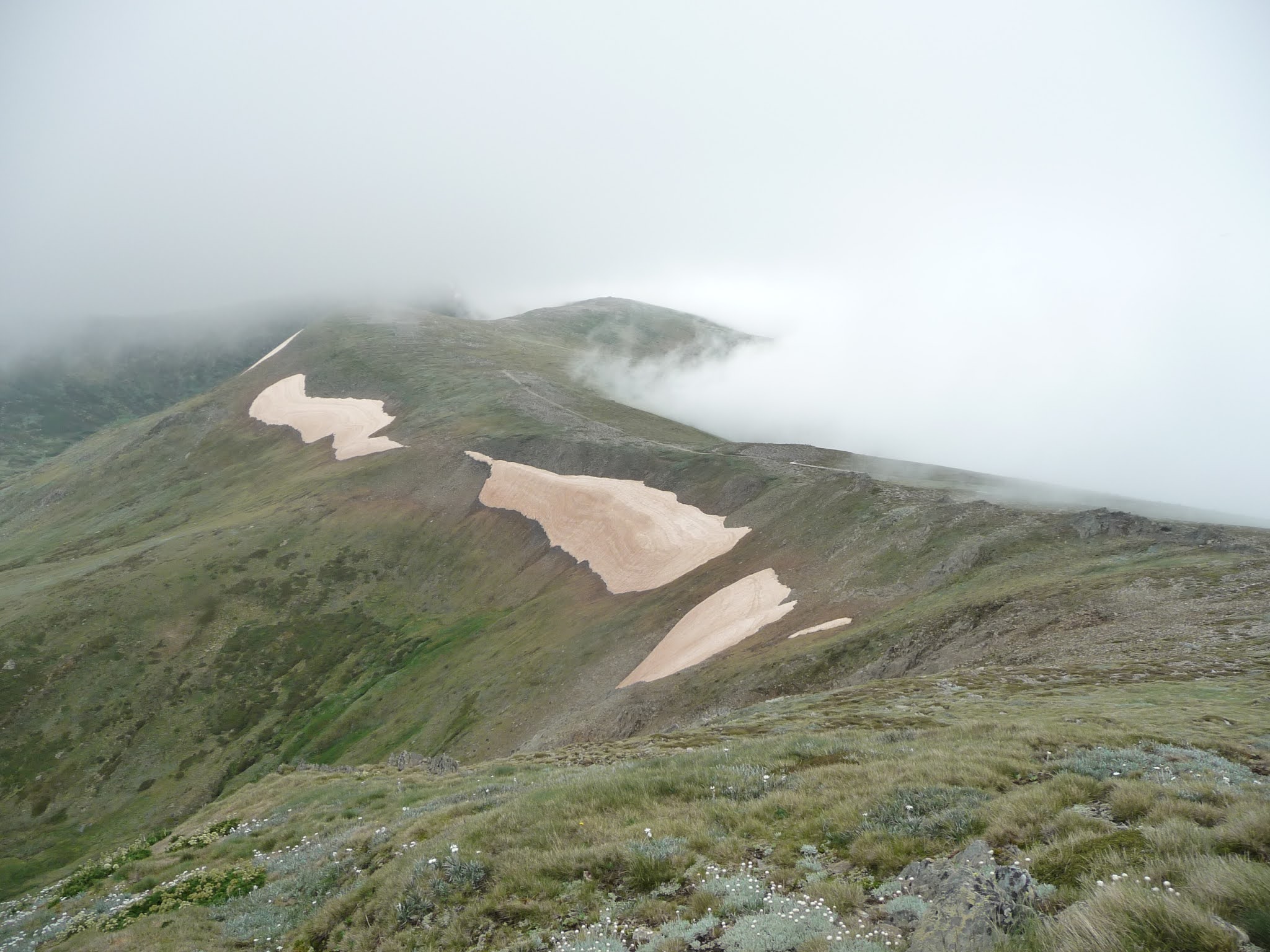 Back To Nature:: Main Ridge Circuit - Guthega -Mt Townsend - Mt ...