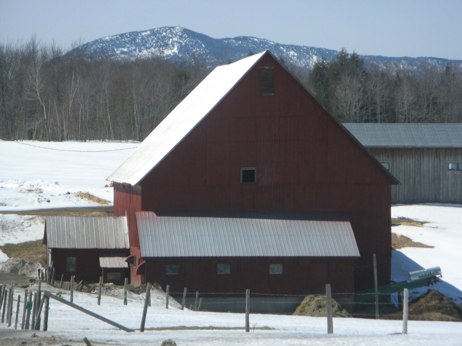 Animal Instinct: Baths, Barns & Balls