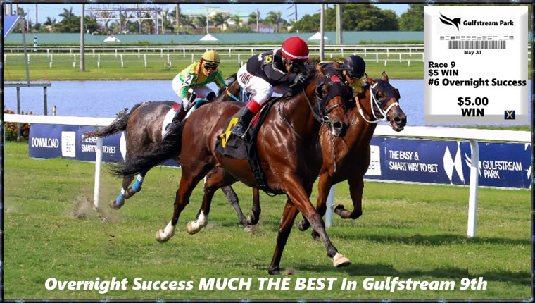 Summer/Fall Racing: Final Week Of Spring Racing Season