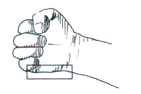 Body Parts Name - Kyokushin Karate