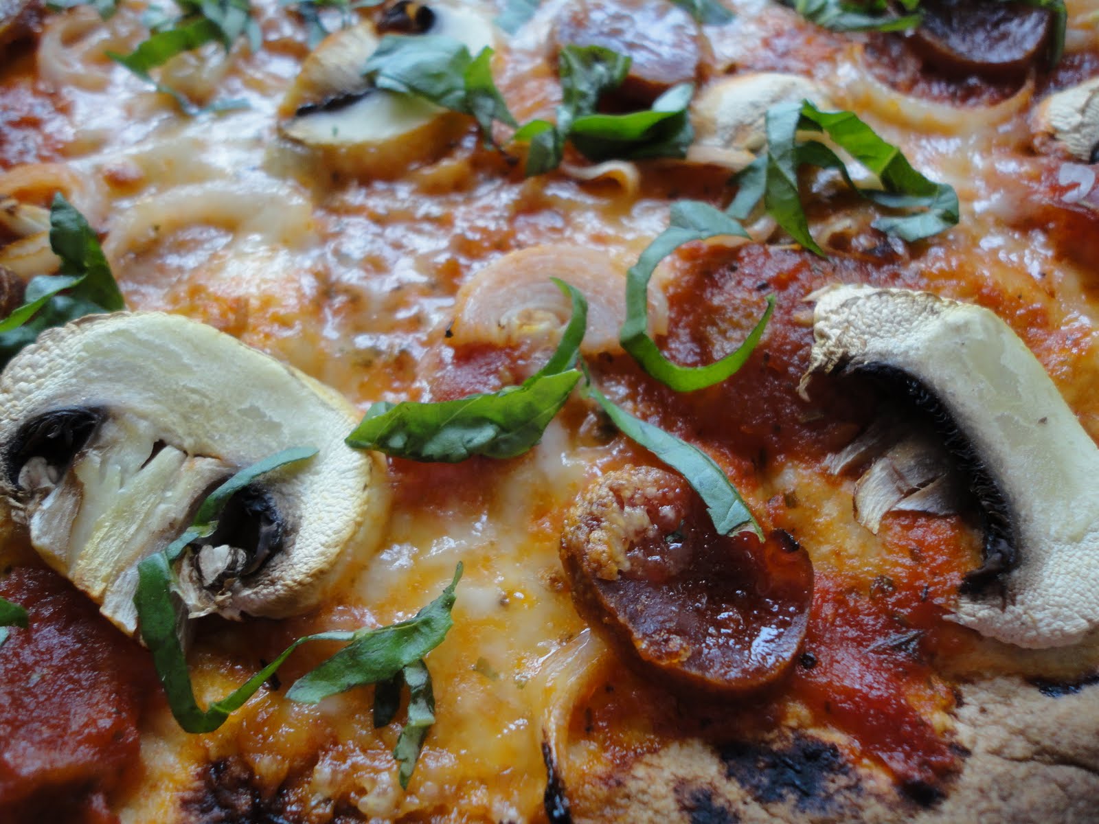 Babaduck: Speedy Tortizzas