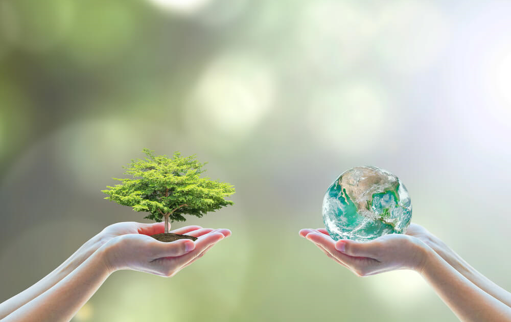 Meio Ambiente Conservação E Preservação Fdplearn