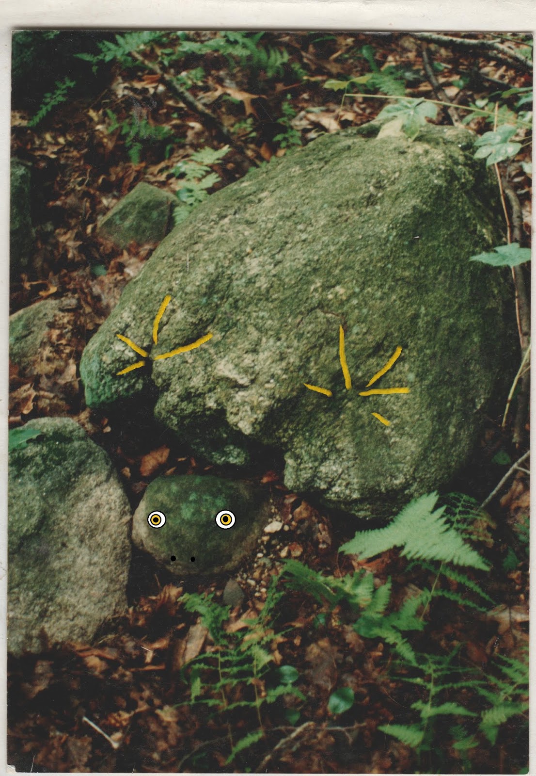 Waking Up on Turtle Island: Some Turtle Effigies in CT Cluster #3