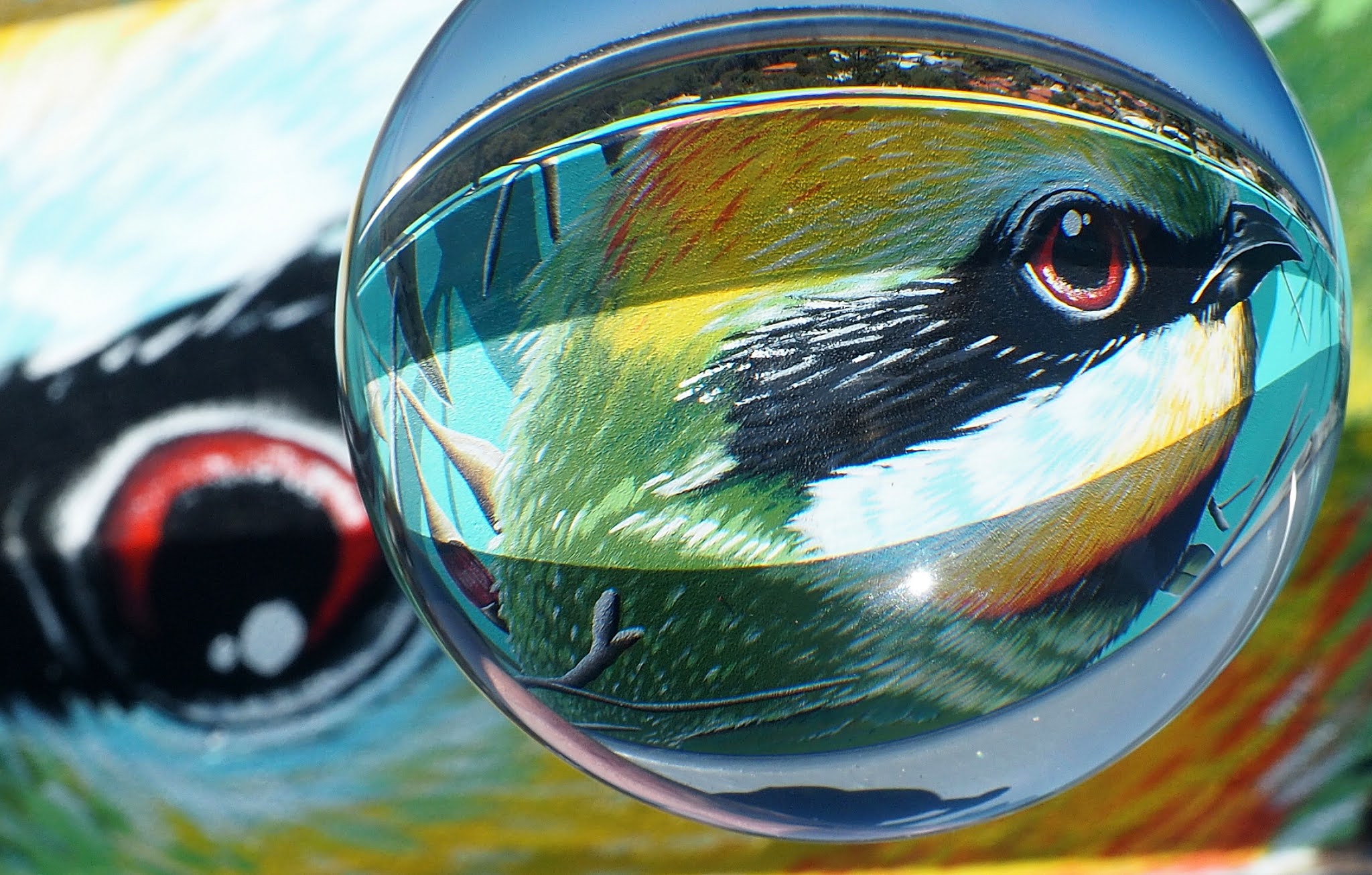 Perth Daily Photo : Bountiful bubbles..