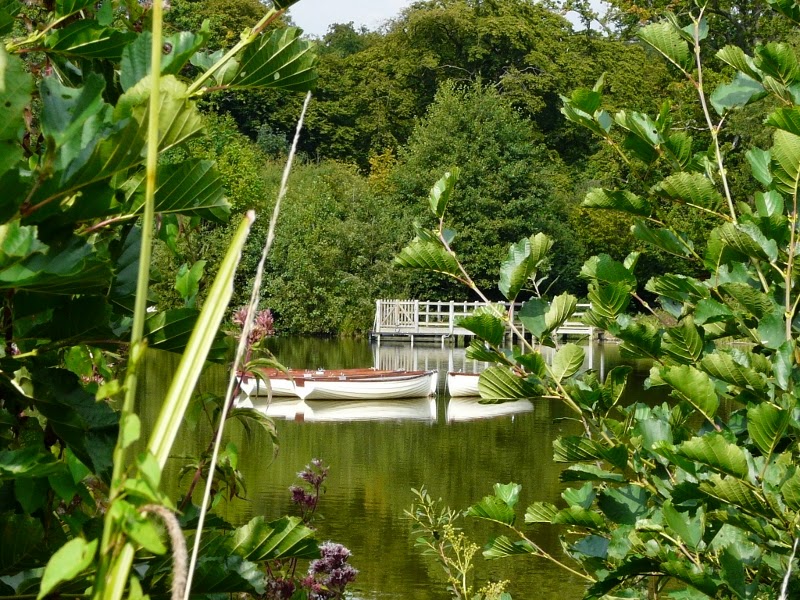 Cindy's Snaps: Hatfield Forest (stomping ground of my Hatfield Broad ...