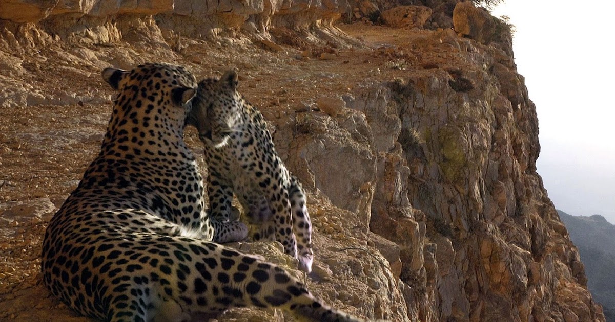 1001Places - Our Planet, From Deserts to Grasslands, FULL Documentary ...