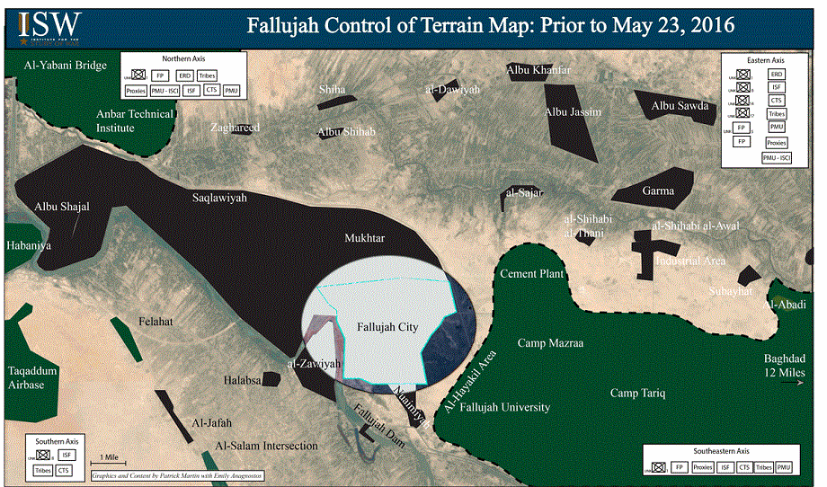 វិទ្យាសាស្រ្តយោធាកម្ពុជា: Fallujah Offensive Forces