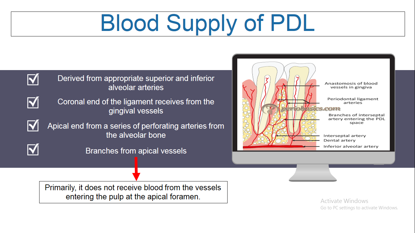 Periodontal Ligament PDL [Quick Notes With Charts and Diagrams For Exams]
