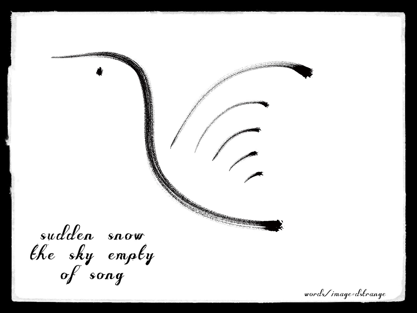 Warp and Weft ~ Images and Words: Our Best Haiga: Black & White Haiga ...