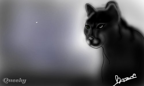 Animals Wallpapers: Black Puma With Yellow Eyes Wallpapers