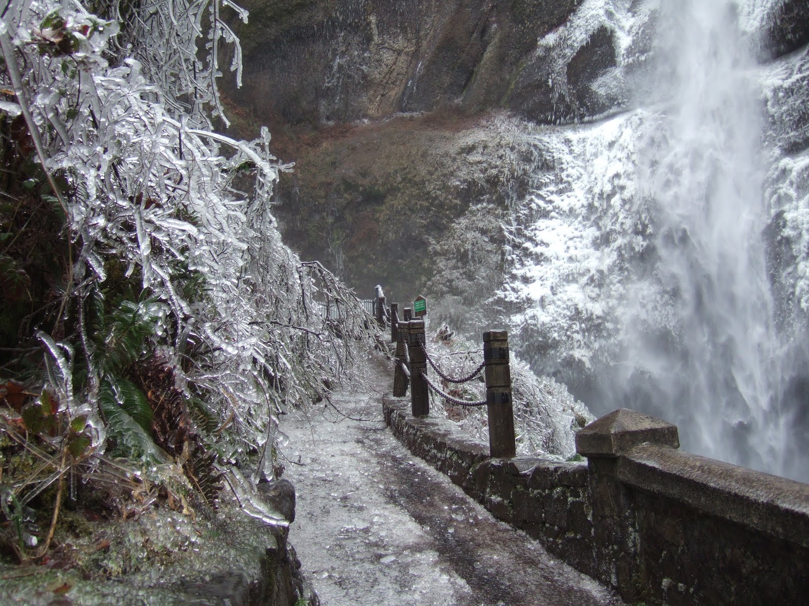 Reading the Washington Landscape: Icy Multnomah Falls