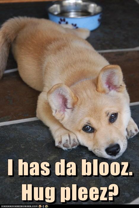 Thinking Pink: Top Five LOL Dogs of the Day