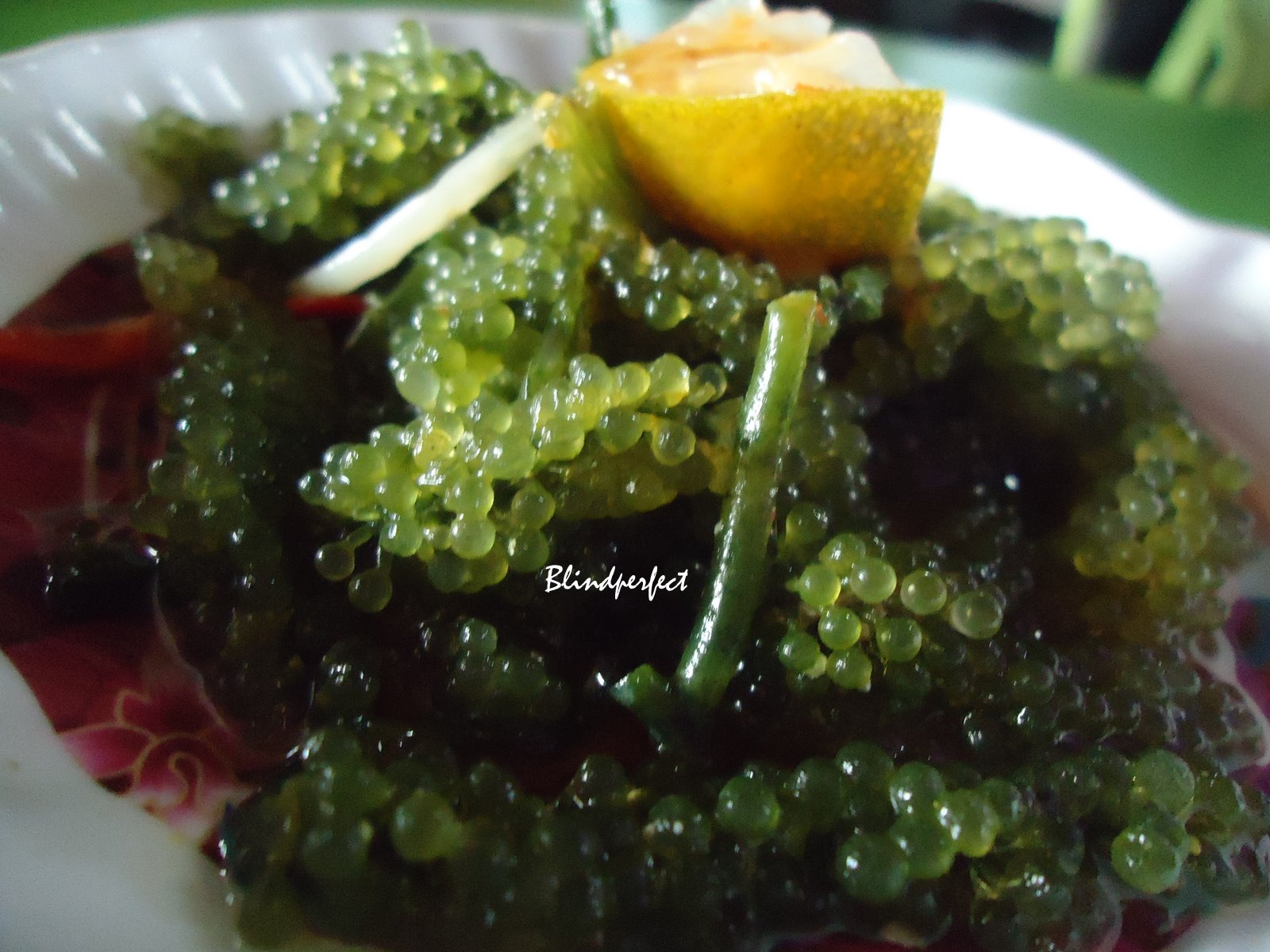 blindperfect: 386. Rumpai Laut