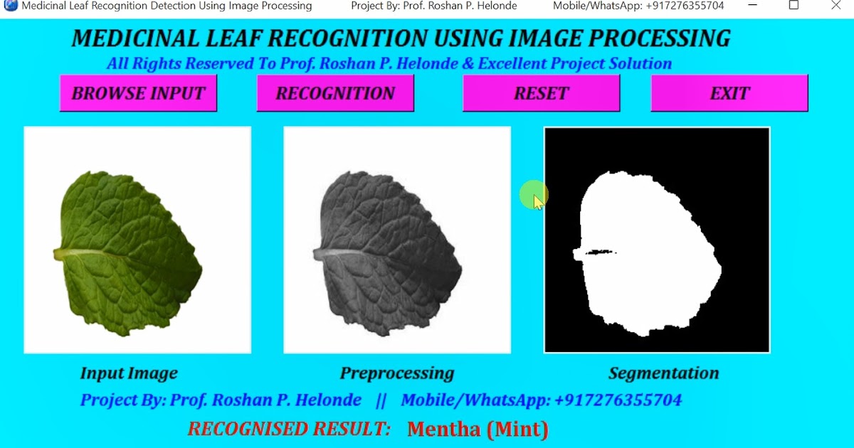 Medicinal Leaf Recognition Using Image Processing Python Project Source ... Medicinal Leaf Recognition Using Image Processing Python Project Source ...