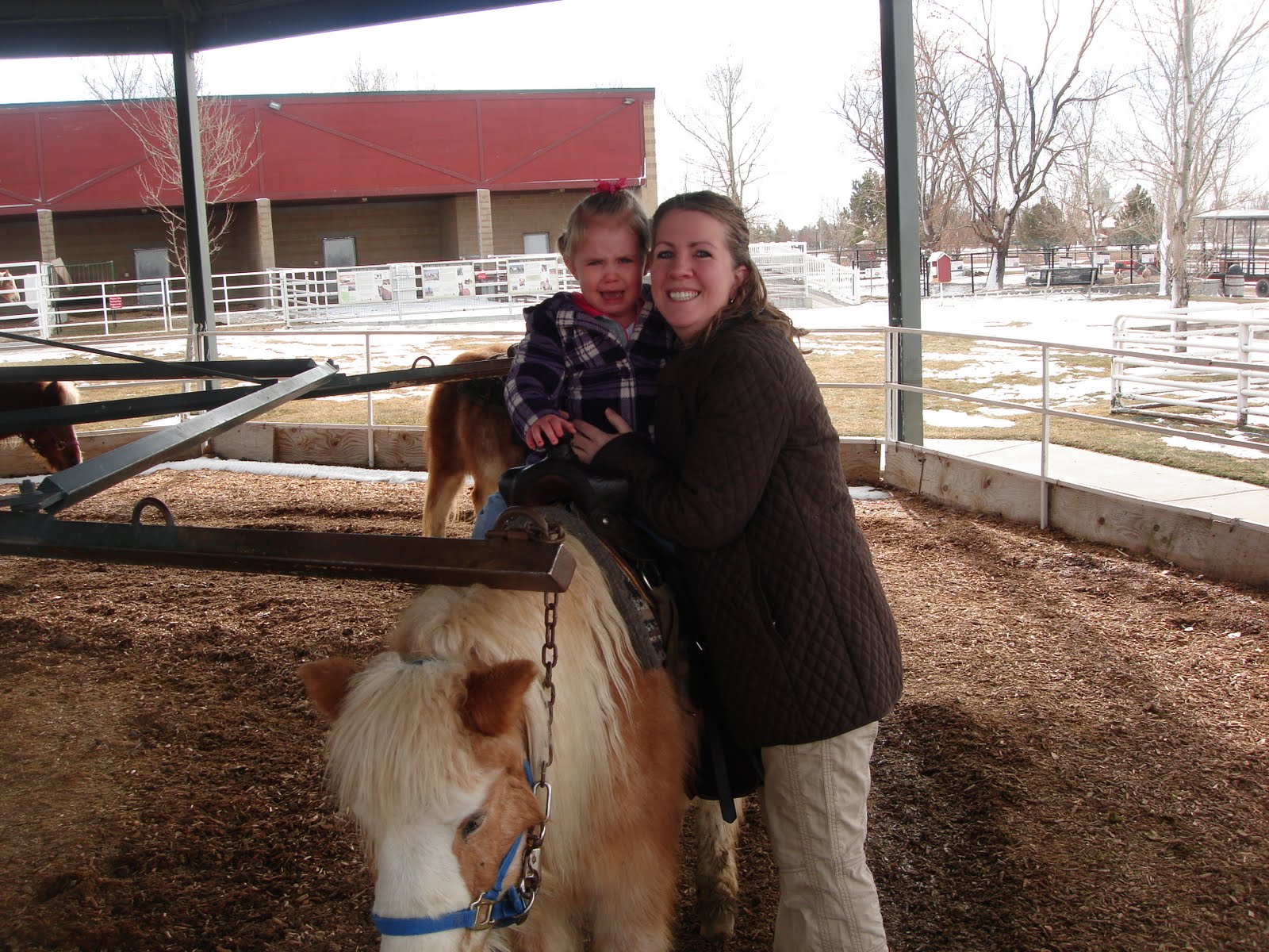 The Shelley Family: Farm country with the cousins