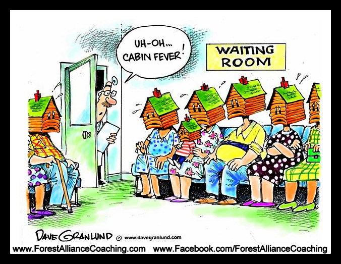 The Dragonfly Forest: Cartoon Saturday - Spring Snow