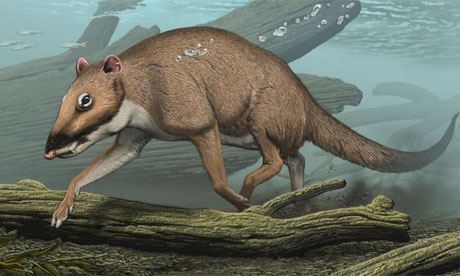 Escenarios prehistóricos: Indohyus