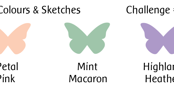 CAS Colours & Sketches: Challenge #365 - Colors