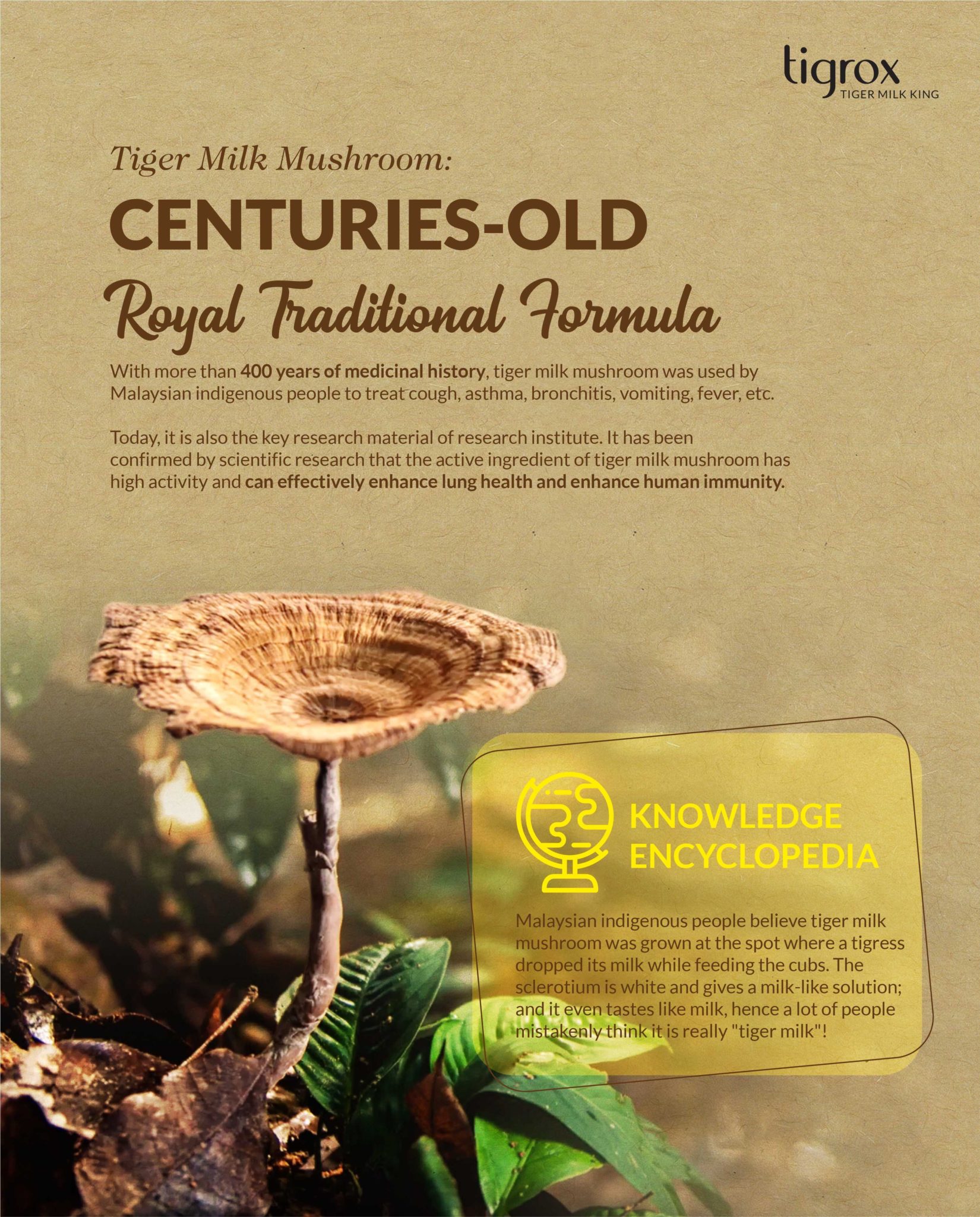 KEEP YOUR LUNGS HEALTHY WITH TIGER MILK KING FROM WELLOUS - TIGROX ...