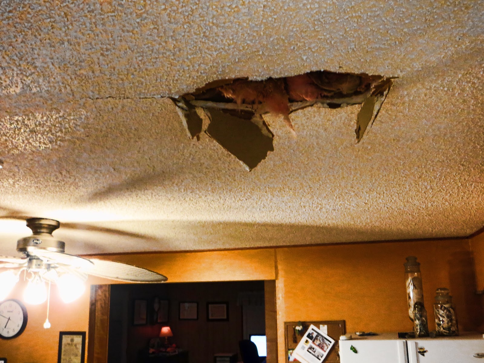 chuckography: "Hole" today...gone tomorrow.