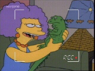 Gentlemen of Leisure: Retro Review: Selma's Choice