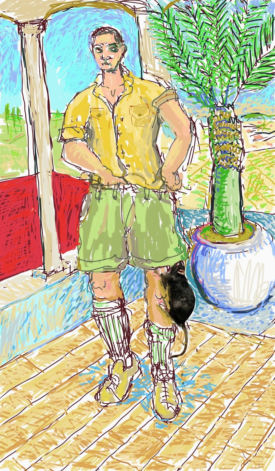 the stoep was always red