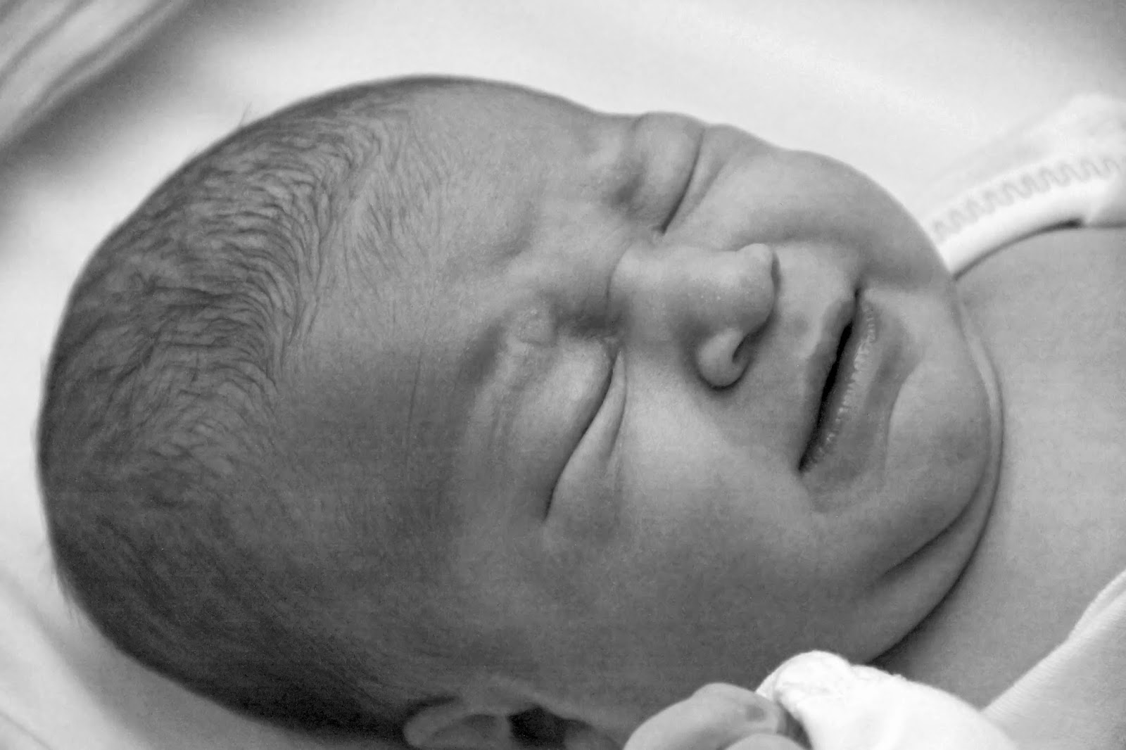 One Promise Miss Lily