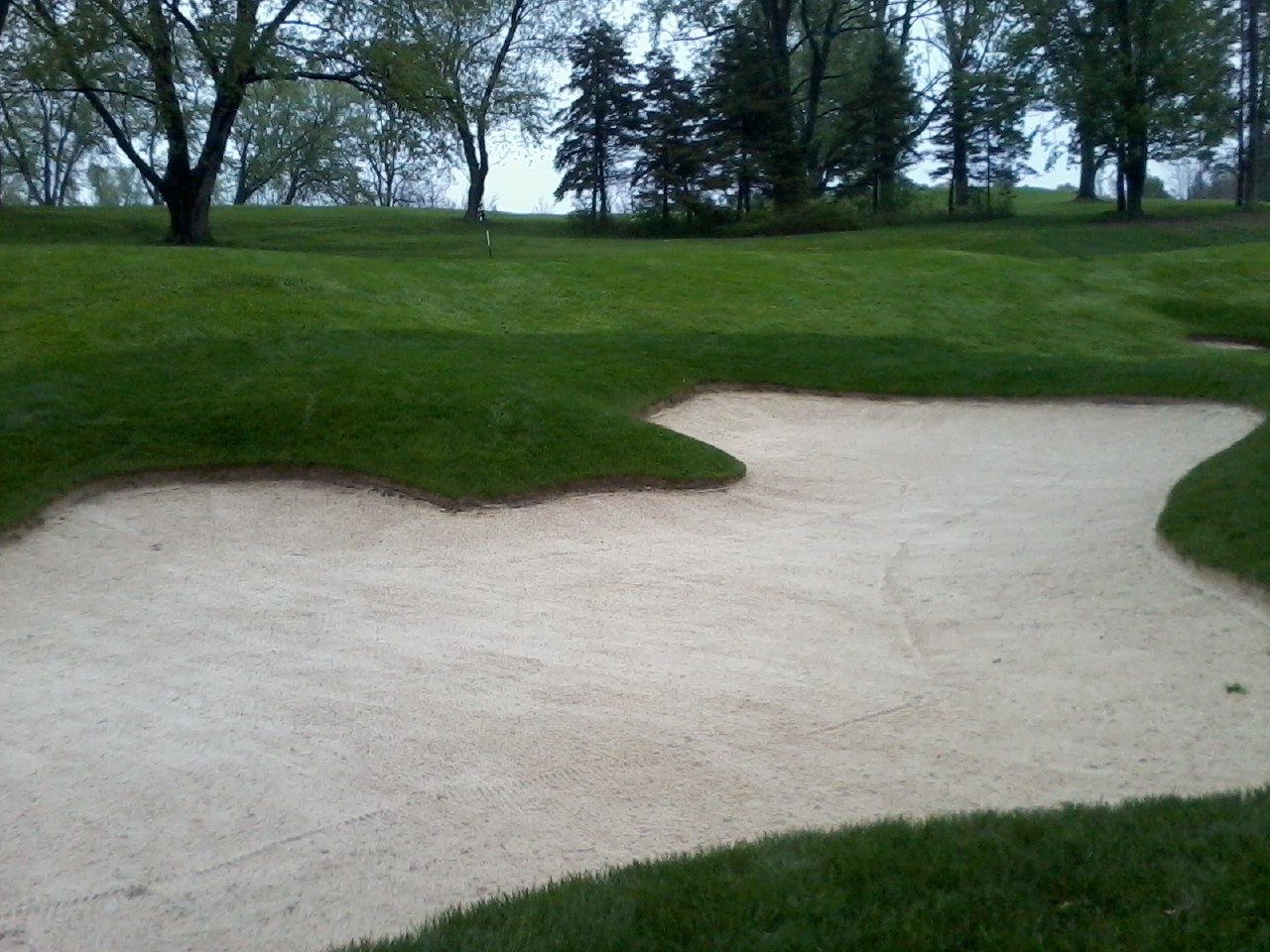 Lockport CC Grounds: Edging Bunkers