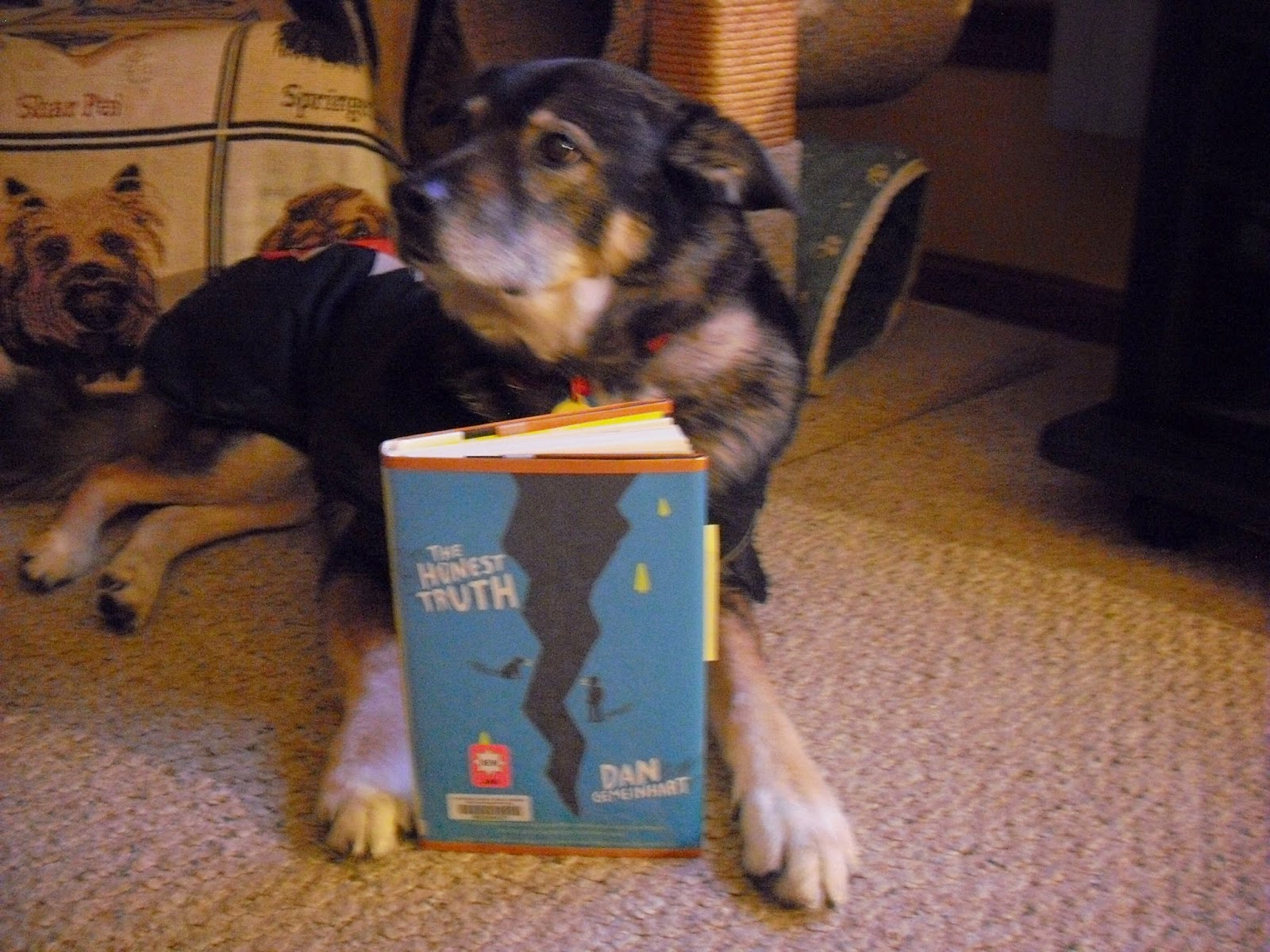 Grab A Book From Our Stack: "The Honest Truth" by Dan Gemeinhart ...