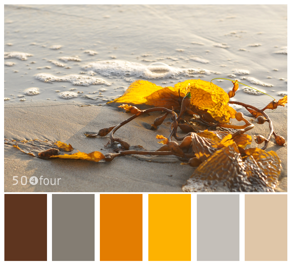 Quilternity's Place: Seaweed color palette...