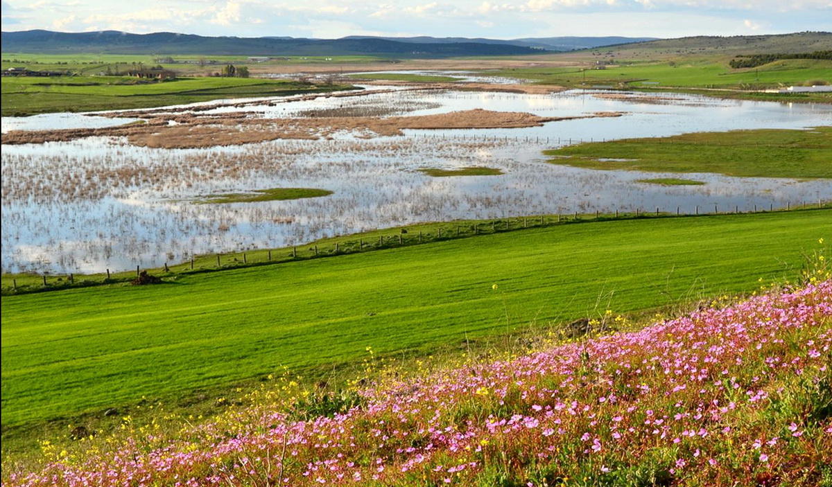 ALMANAQUE NATURAL: Llanuras de Inundación