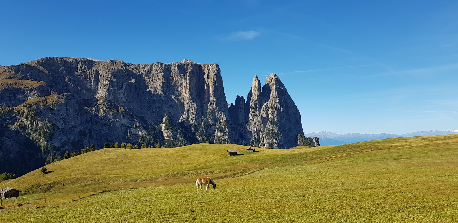 jaro gruber ;-): schlern, südtirol, october 2019 ~ ALL WISHES FULFILLED :-)