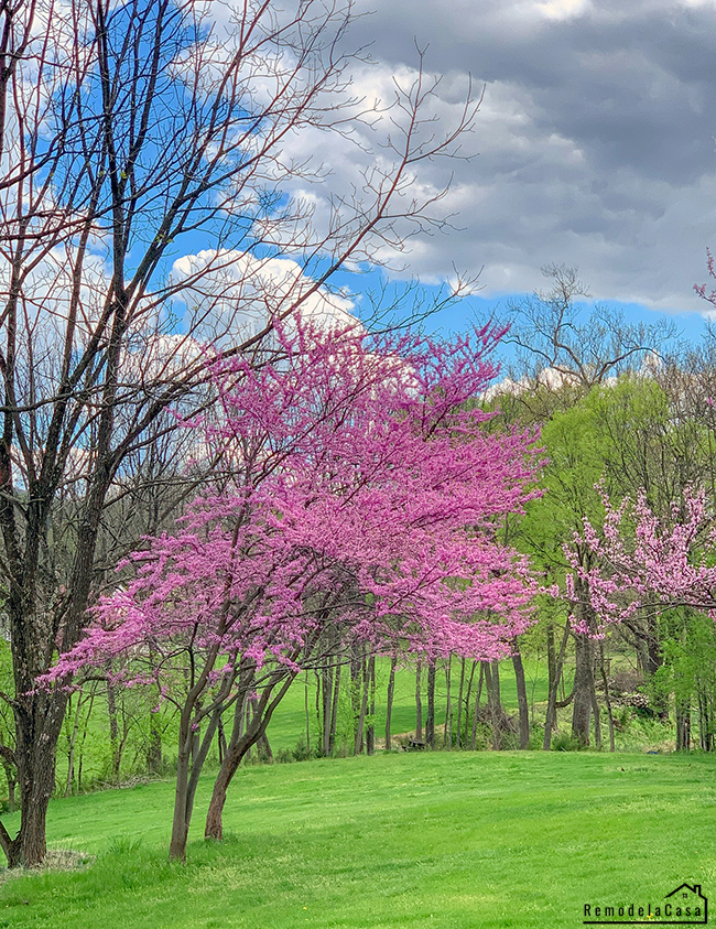 Beautiful Spring Colors - Remodelando la Casa