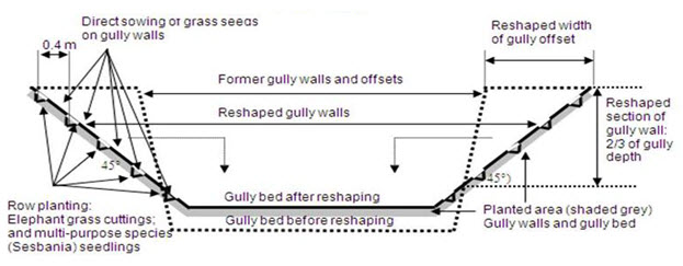 Agriculture in GOODU: AEG-101-Class-5 : Gully classification and ...