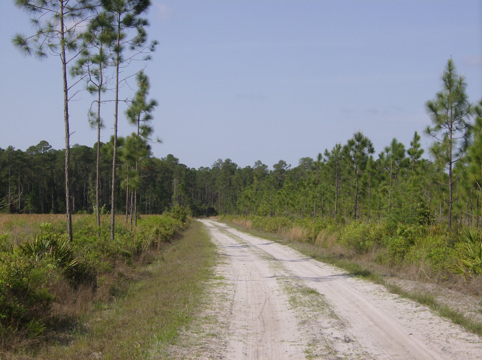 Trains and Trails of Nassau County FLA: Riding the Trails in Cary State ...