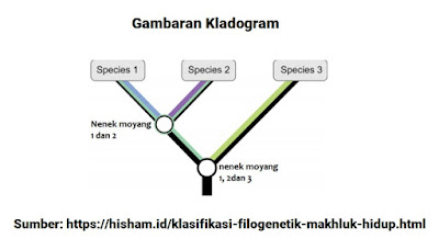 2020 ~ Blog Guru Asyik