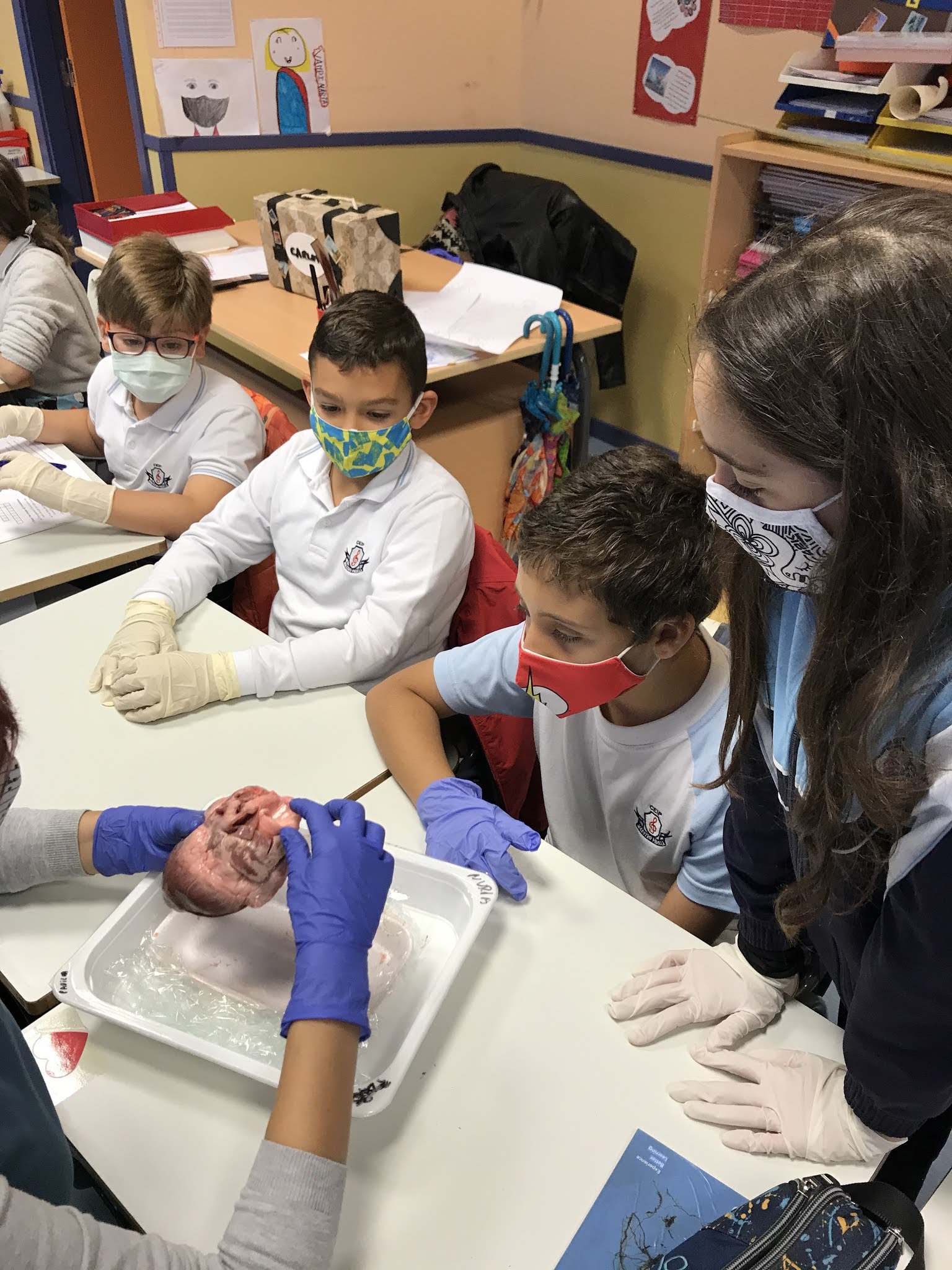 Los cuartos del Padilla: Laboratorio de Science