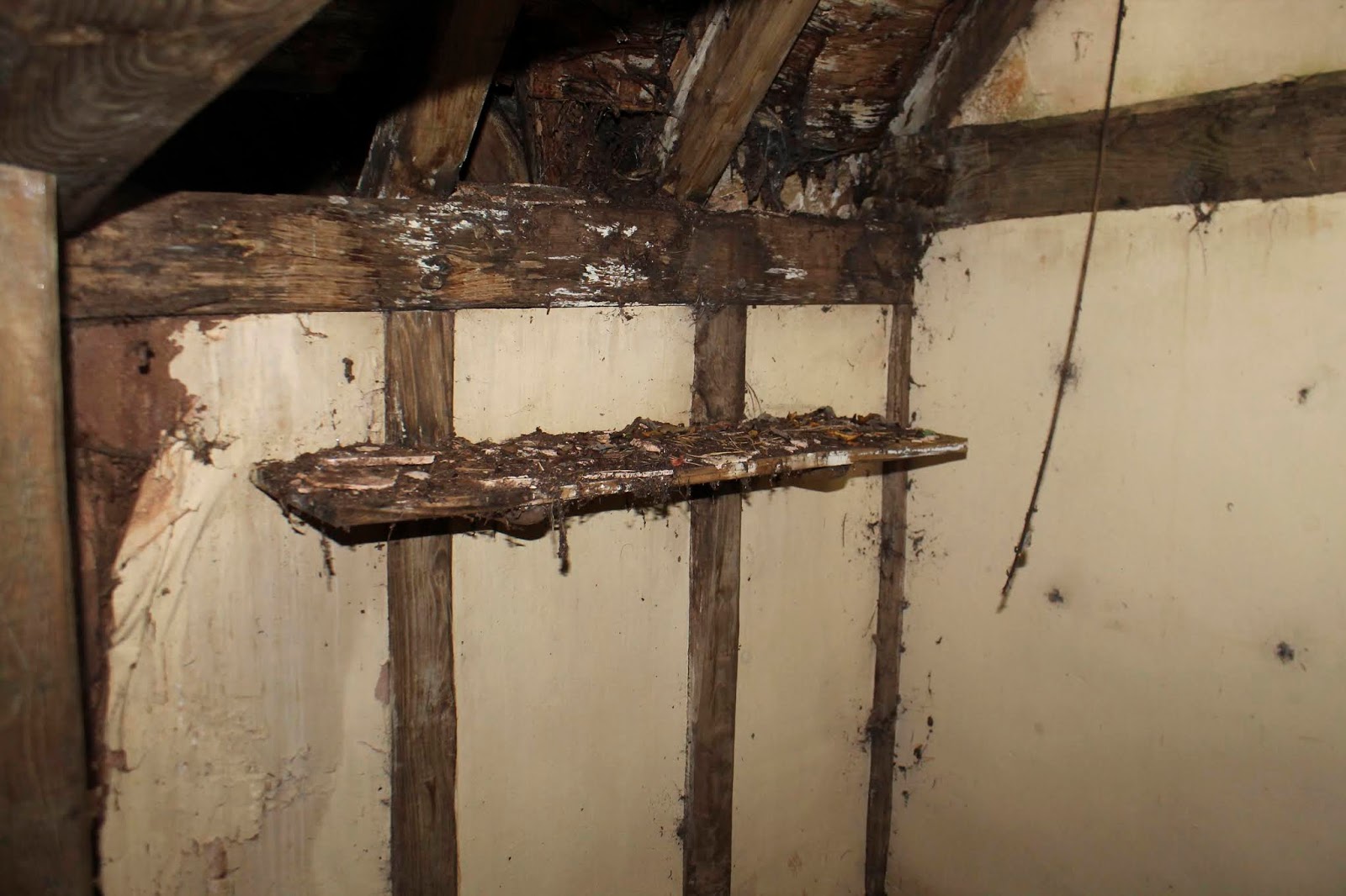 Shrewsbury from where you are not: The house from Tots TV