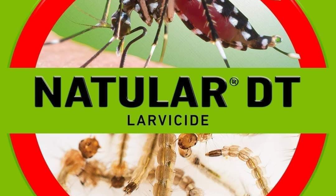 MAGRÃO ACE UBAÍRA: Novo Larvicida pode ser usado no combate ao Mosquito ...
