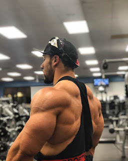 world bodybuilders pictures: united states of america bodybuilder ...