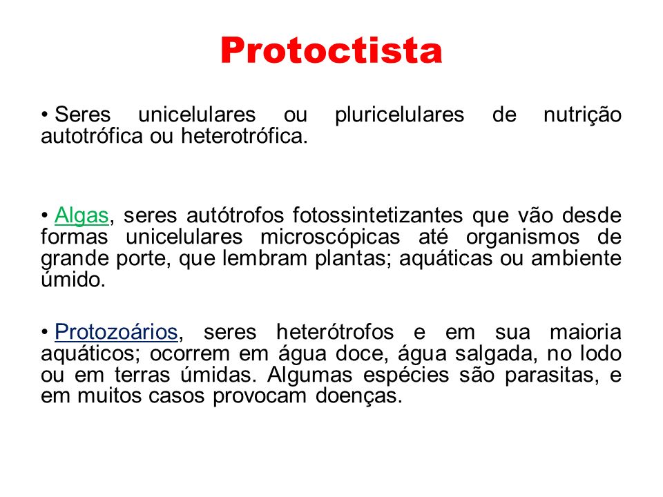Protoctista 1: Protozoários | Biologia: A ciência da vida