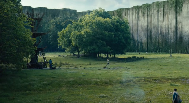 Where Is 'The Maze Runner' Set?