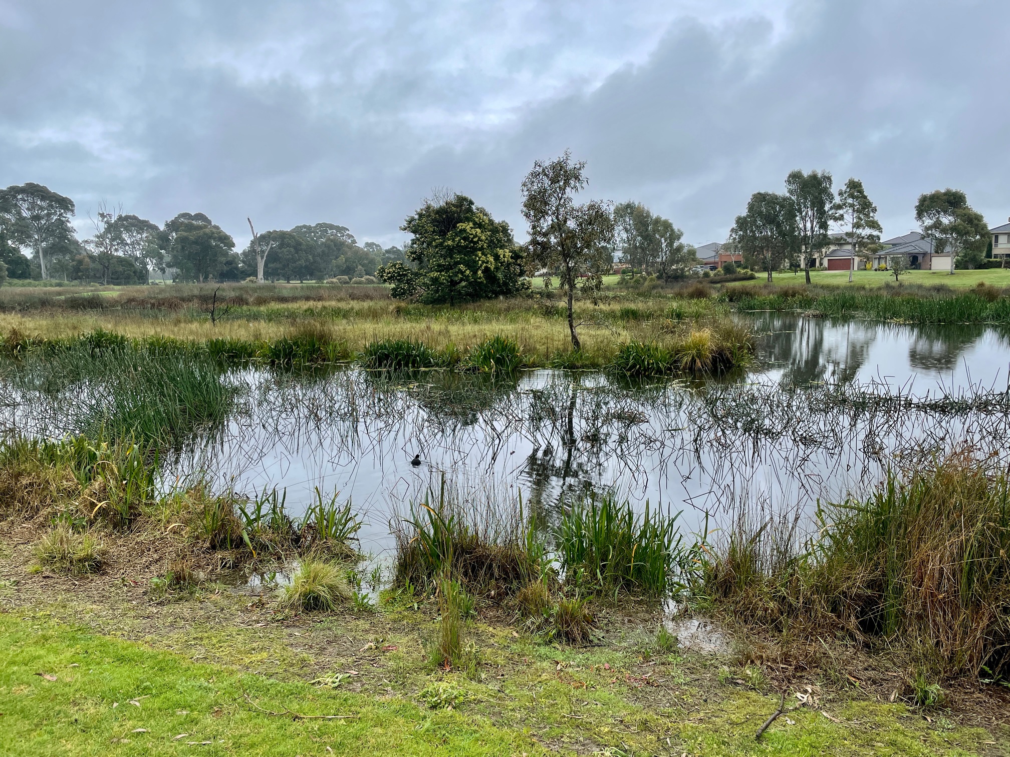 Goin' Feral One Day At A Time: Tatterson Park Circuit Walk - October 2021