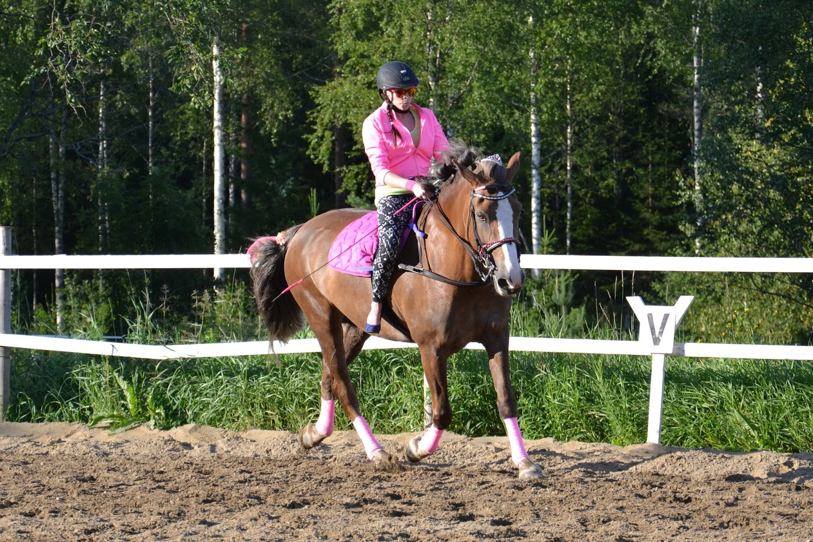 Luokki ja satula: Pissis ja Pimpula Pampula (Video)
